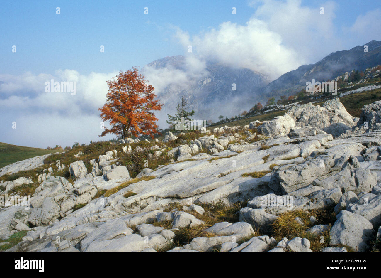 limestone mountain, cancervo mountain, Italy Stock Photo - Alamy