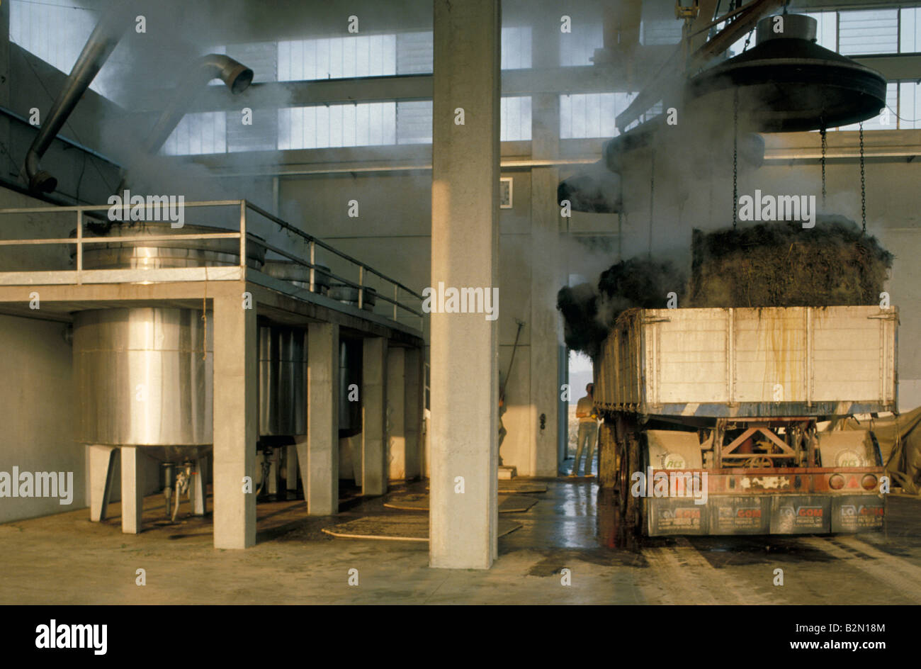 mint distillation with steam, pancalieri, Italy Stock Photo - Alamy