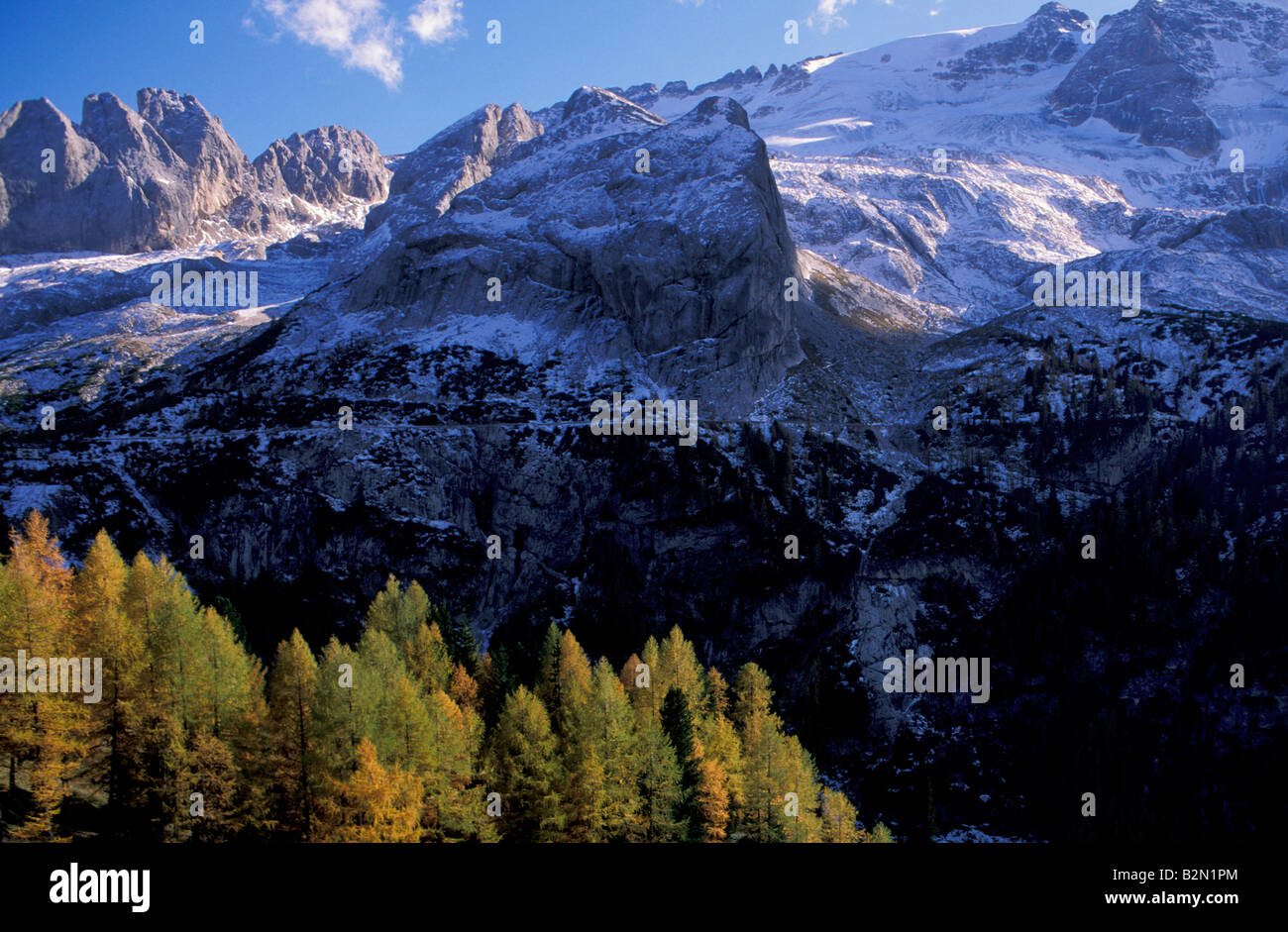 marmolada glacier and larches, fedaia pass, Italy Stock Photo - Alamy