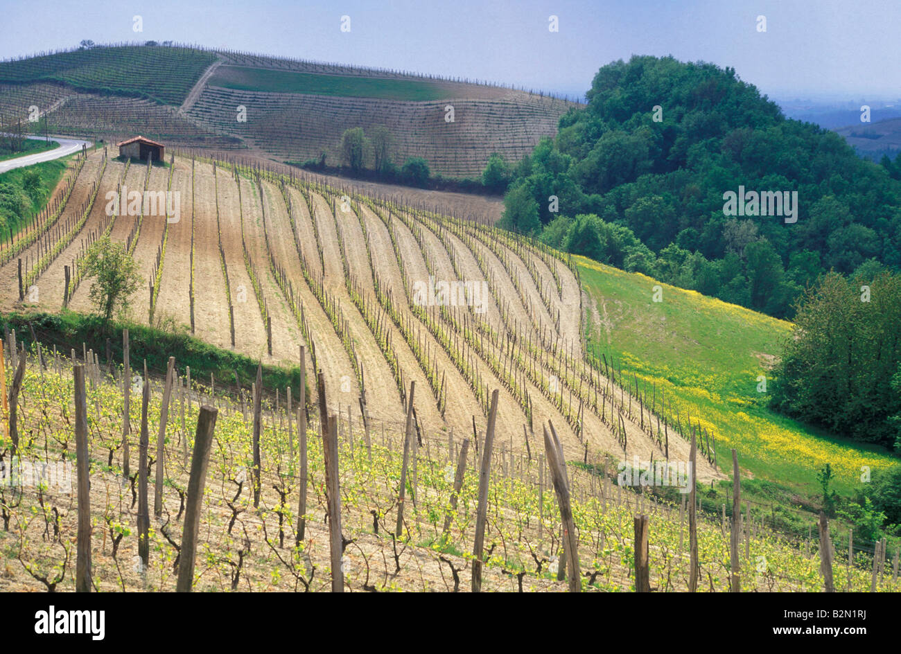 Albugnano hi-res stock photography and images - Alamy