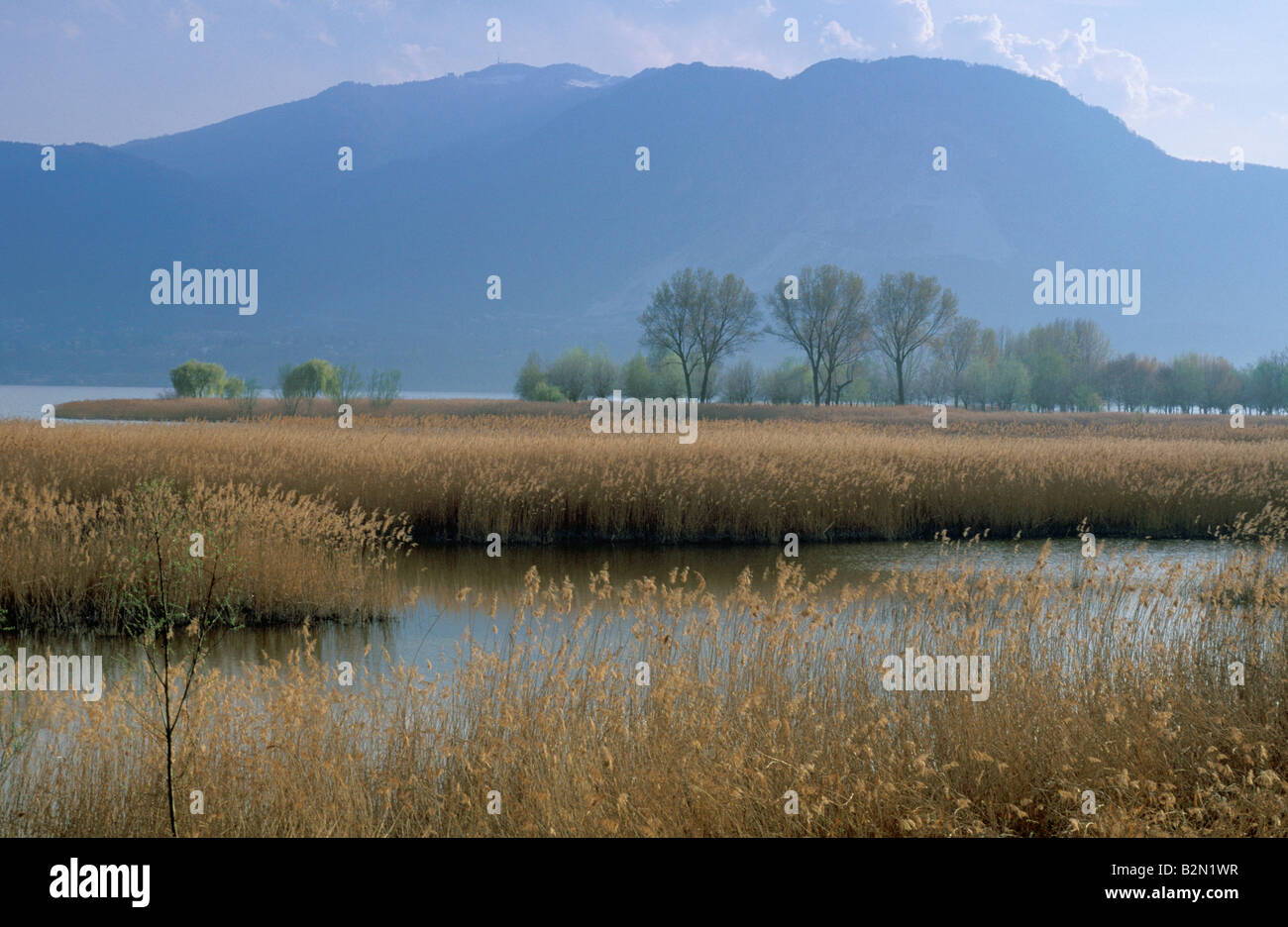 Fondo toce hi-res stock photography and images - Alamy