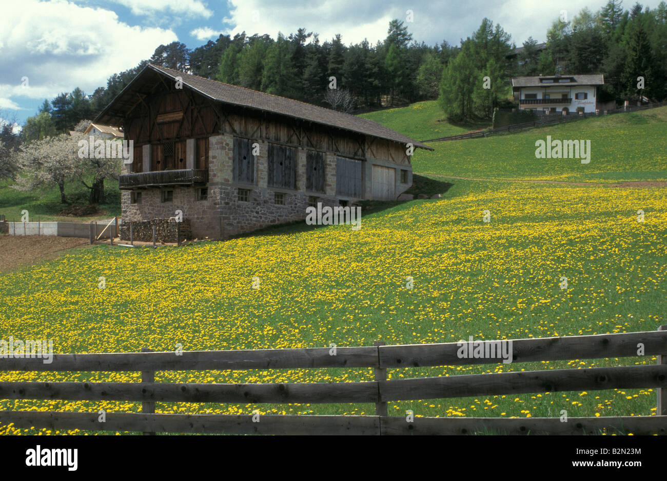 maso at san genesio, bolzano, Italy Stock Photo - Alamy