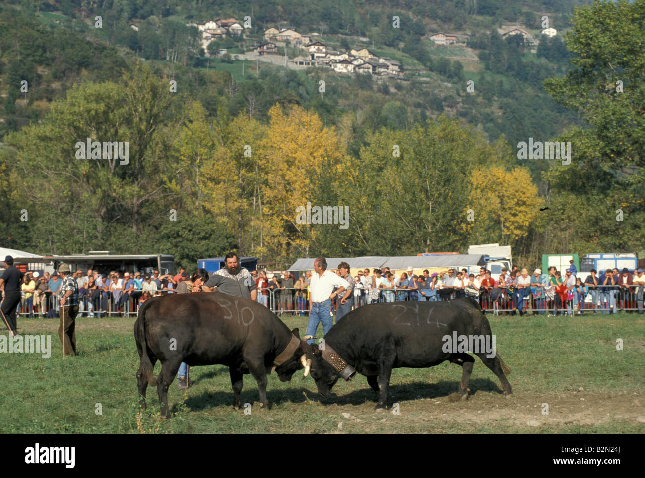 Nus hi-res stock photography and images - Alamy