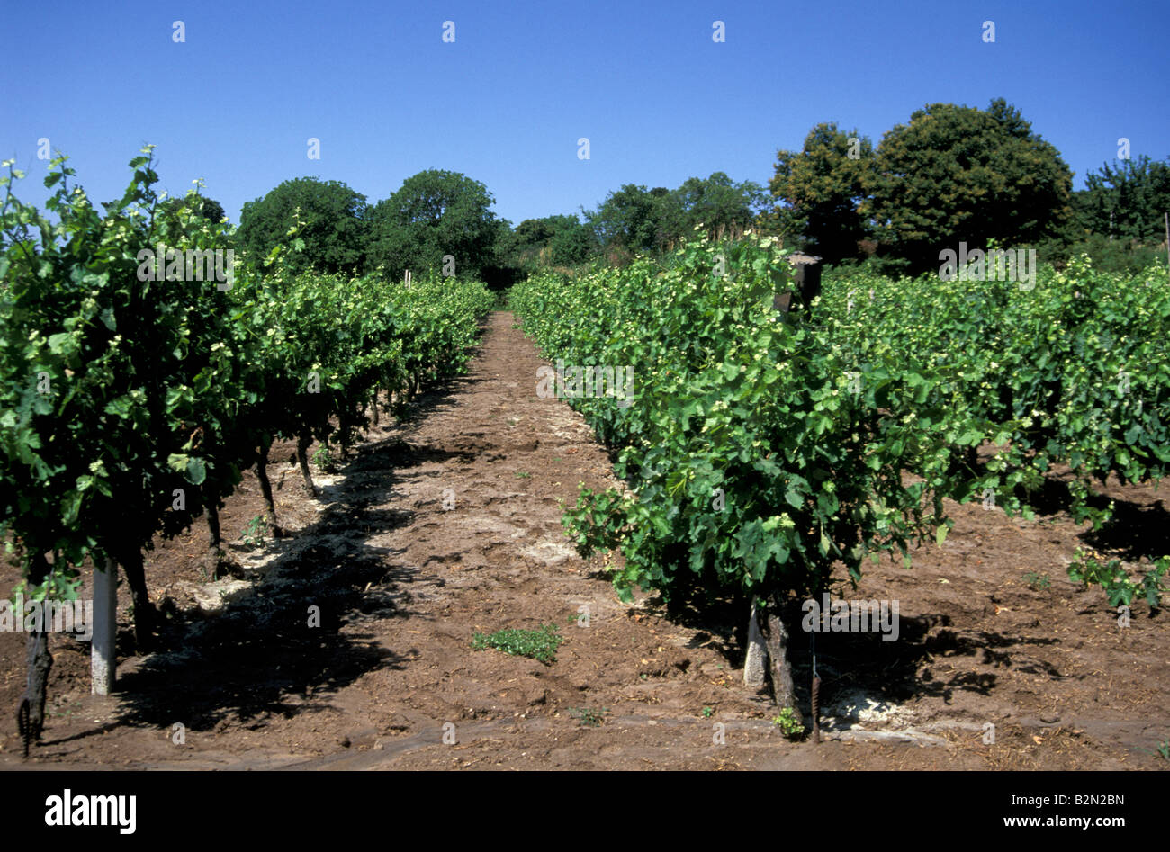 Rionero In Vulture High Resolution Stock Photography and Images - Alamy