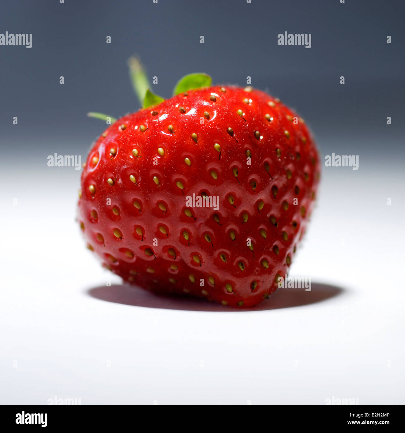 Single strawberry hi-res stock photography and images - Alamy