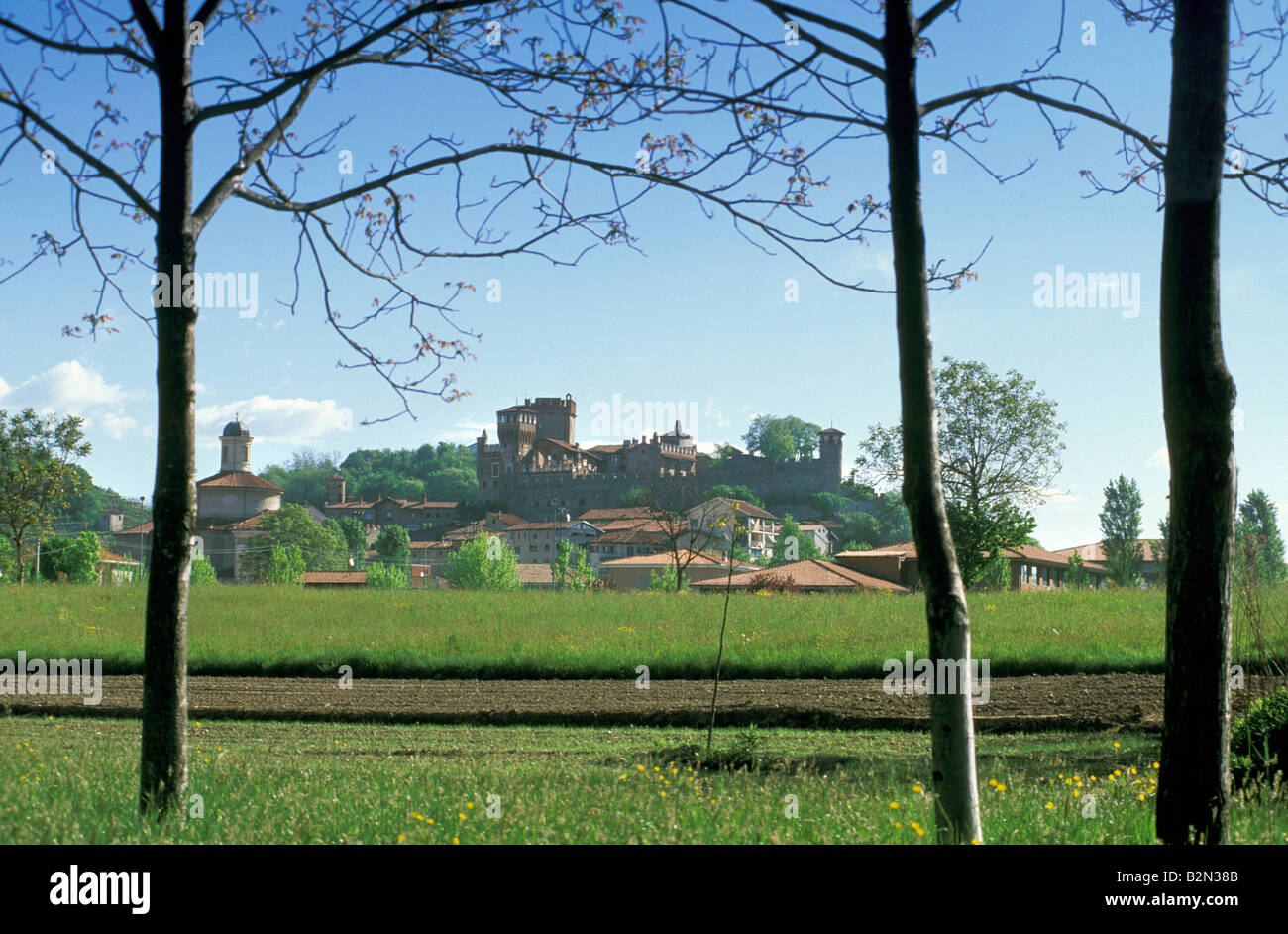 Pavone hi-res stock photography and images - Alamy