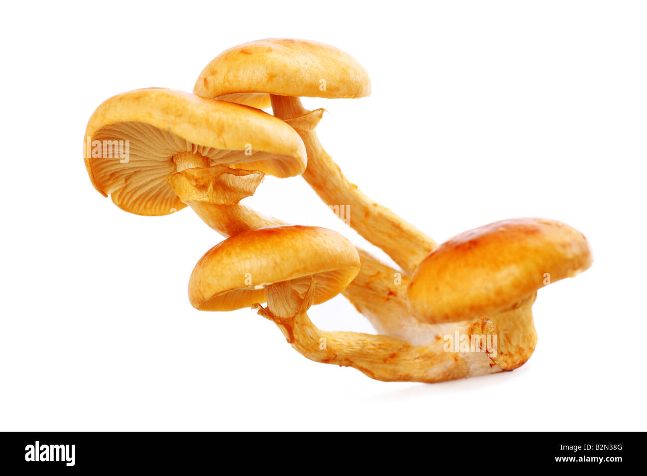 Ingredient chinese dishes hi-res stock photography and images - Alamy