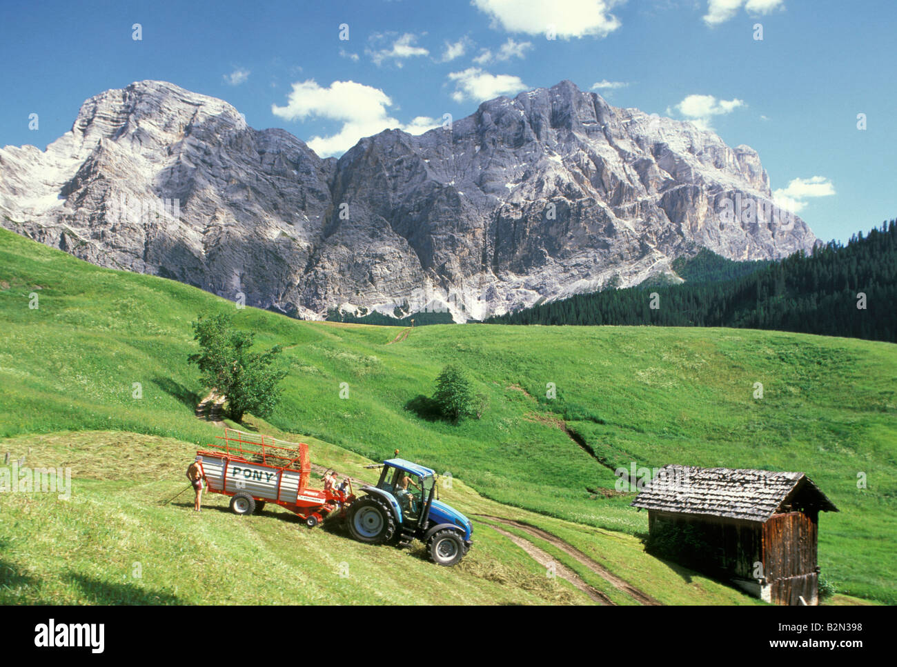 haymaking, la valle badia valley, Italy Stock Photo - Alamy