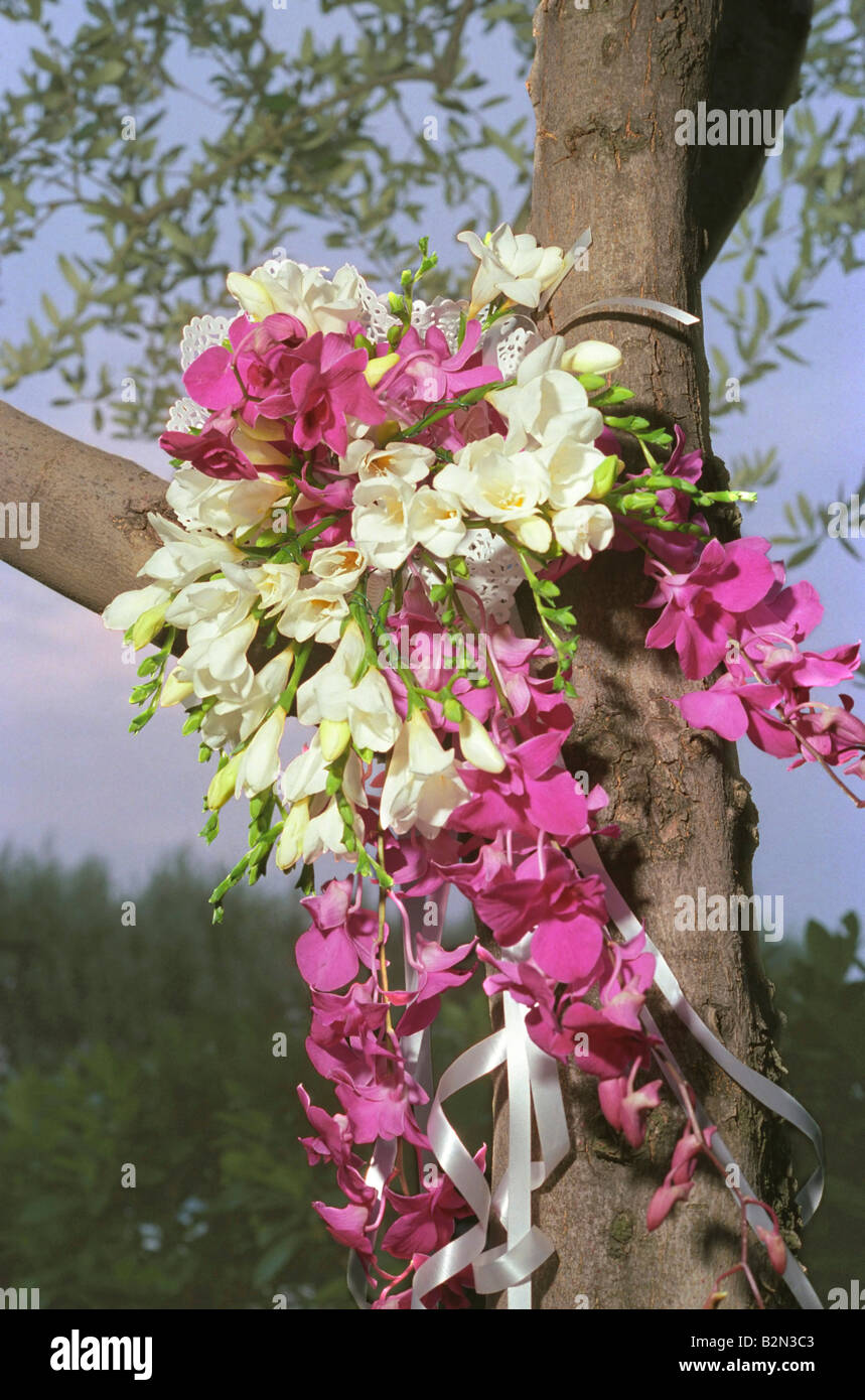 bouquet, bergamo, Italy Stock Photo - Alamy