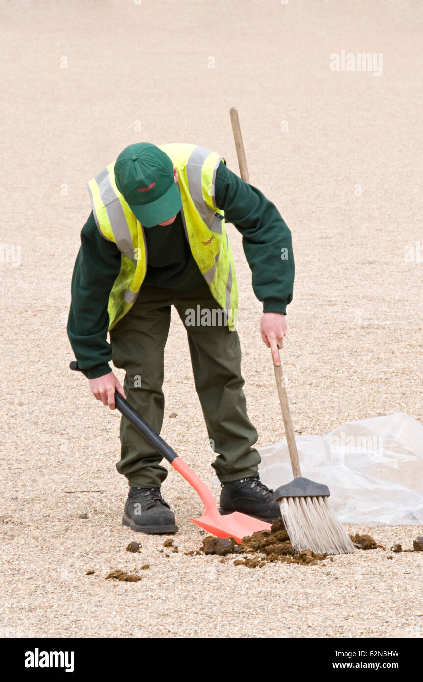 Manure Horse Stock Photos & Manure Horse Stock Images - Alamy
