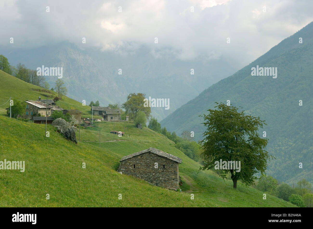 Mascher hi-res stock photography and images - Alamy