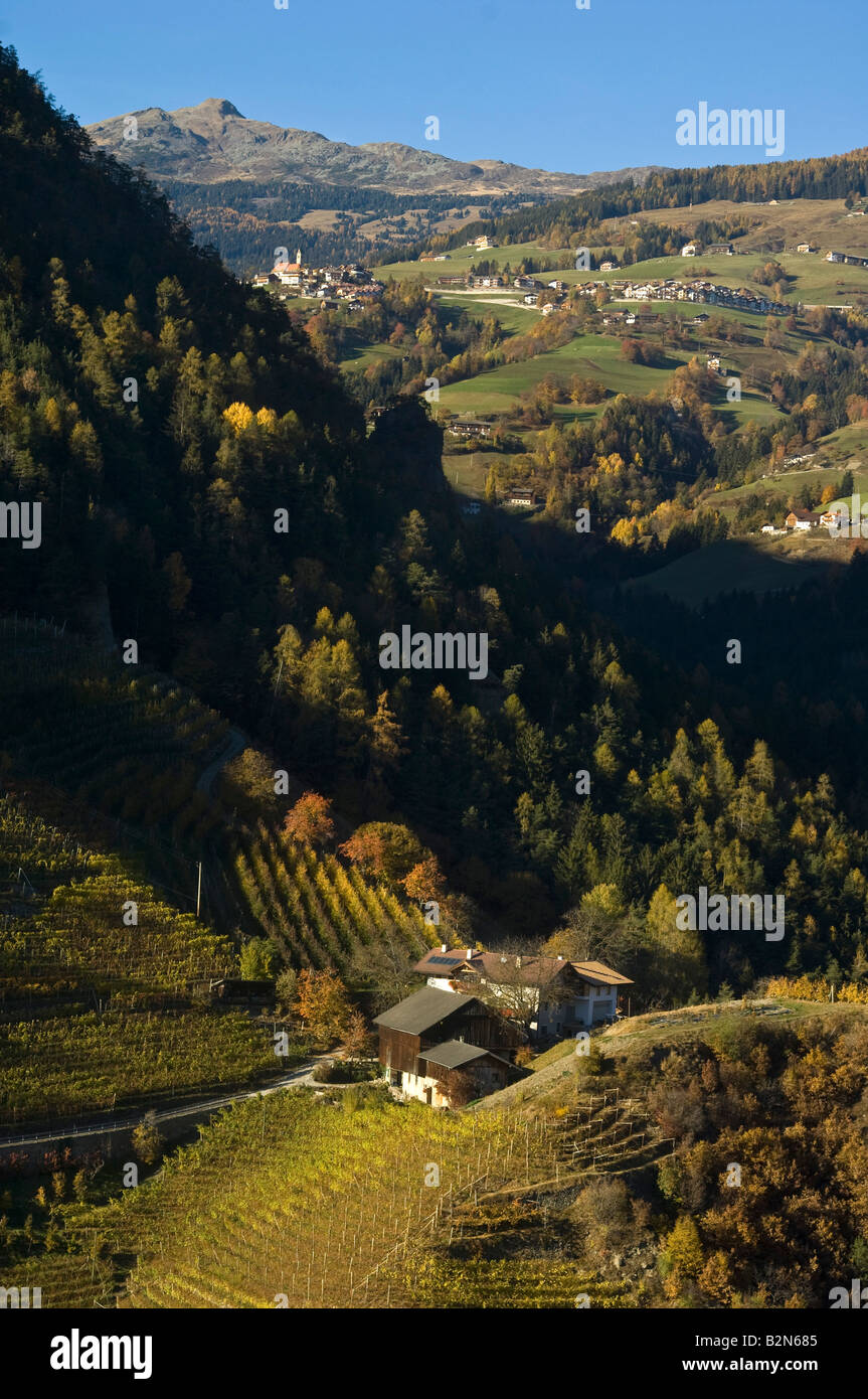 maso and vineyards, chiusa, Italy Stock Photo - Alamy