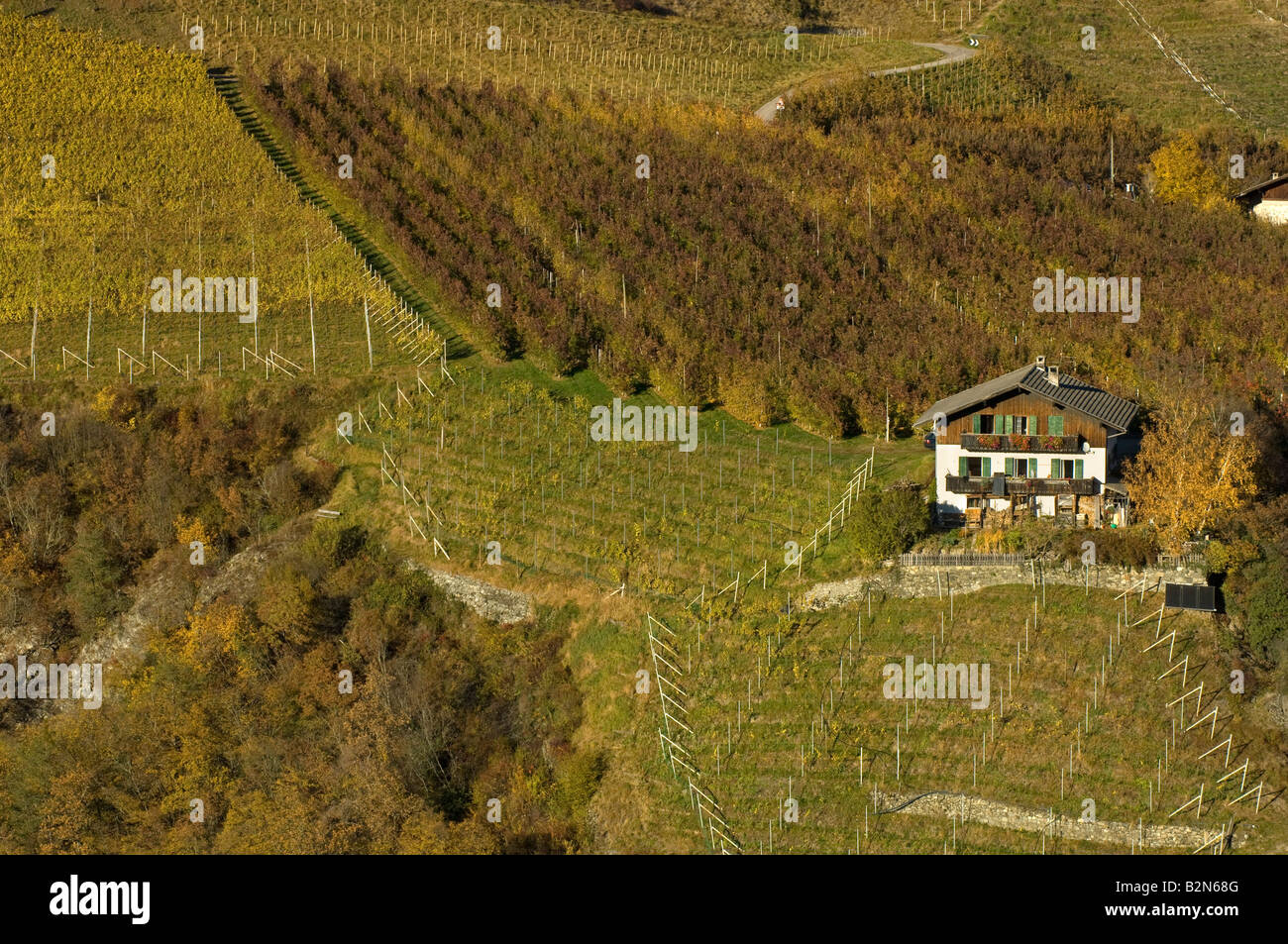 Masó hi-res stock photography and images - Alamy