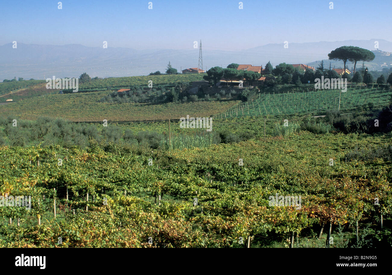Monte porzio hi-res stock photography and images - Alamy