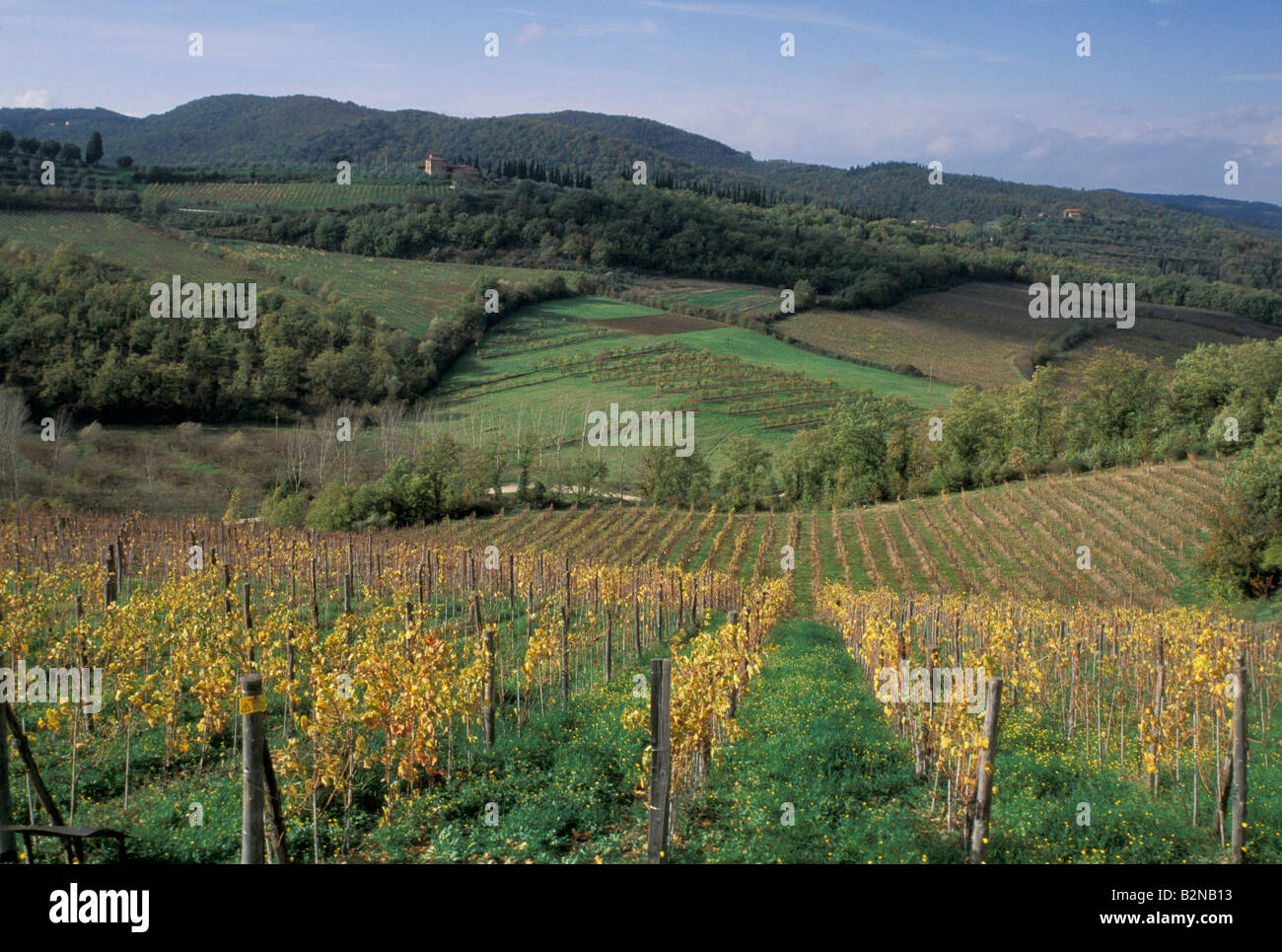 typical landscape, greve in chianti, italy Stock Photo - Alamy