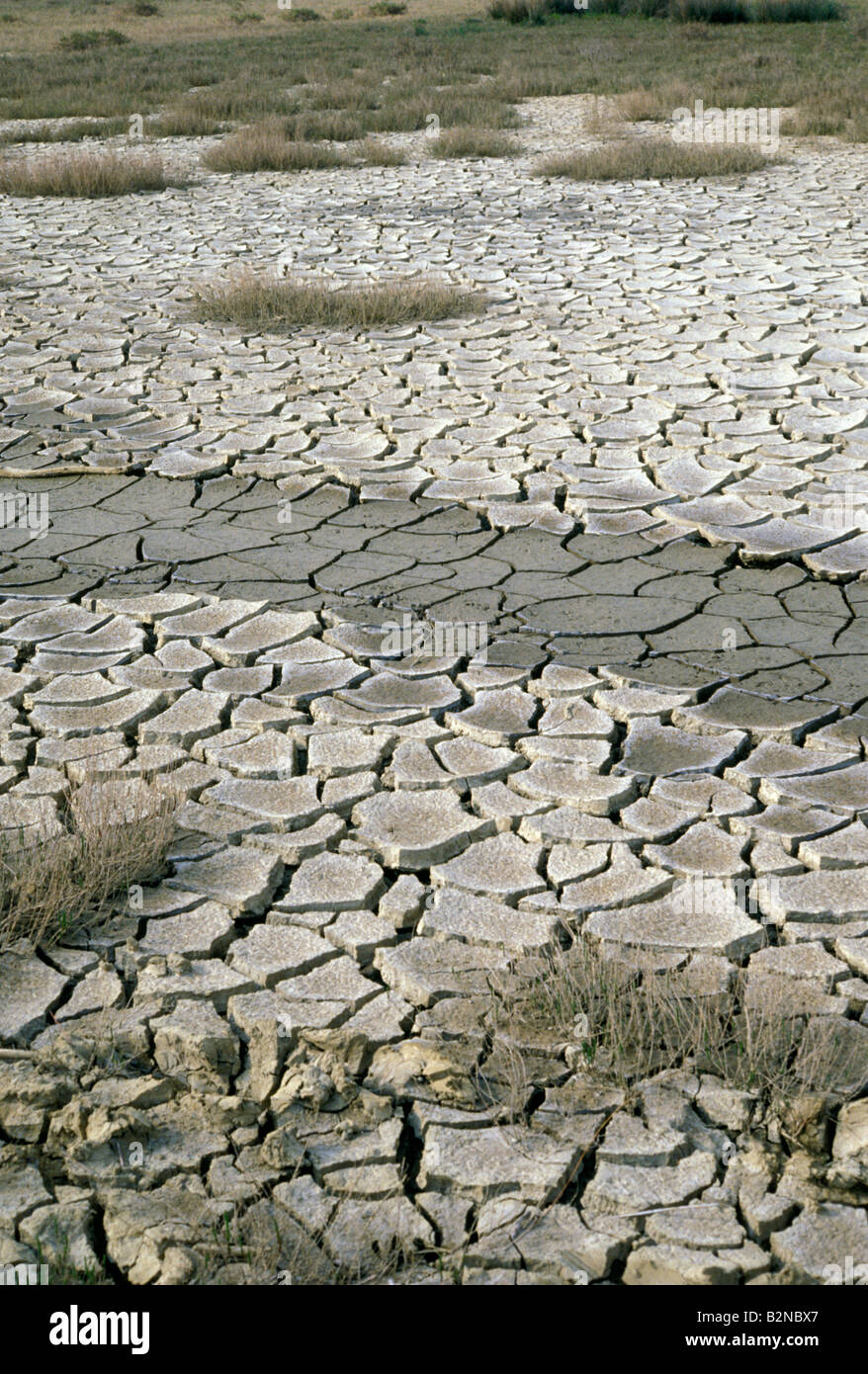 Cracks in a clay field hi-res stock photography and images - Alamy