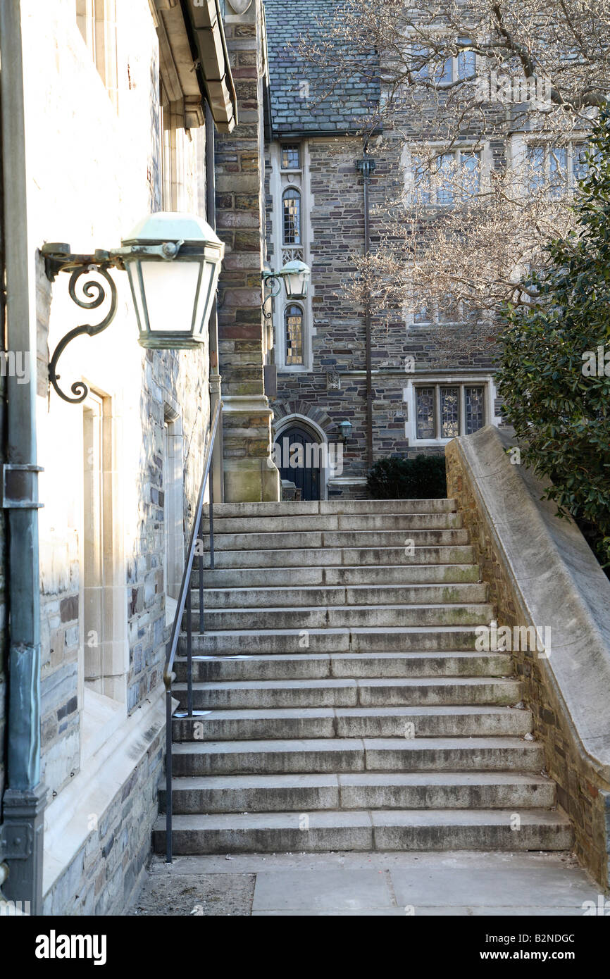 Flight of stone steps leading up side eastern side of Pyne Hall at ...