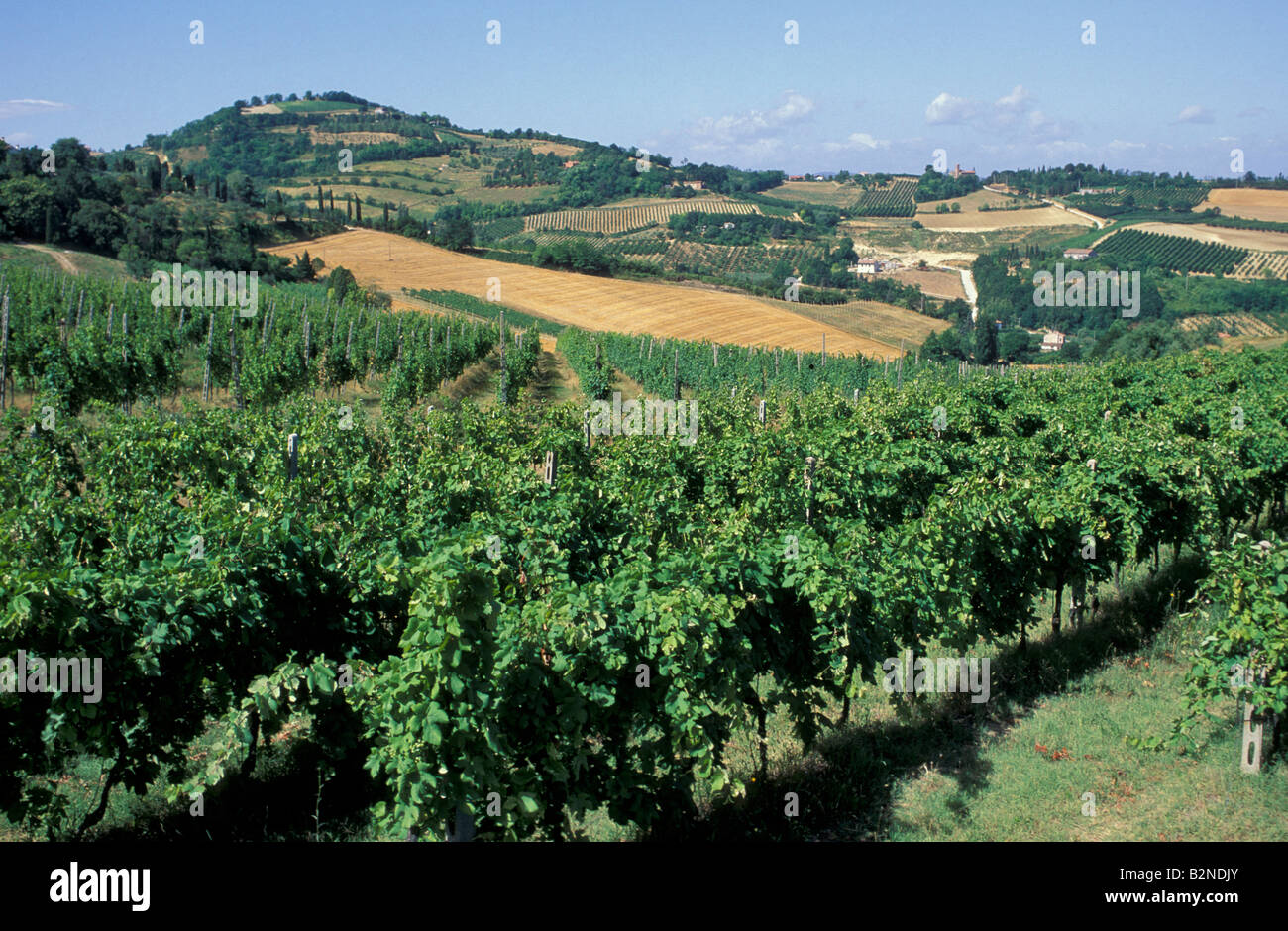 Bertinoro hi-res stock photography and images - Alamy