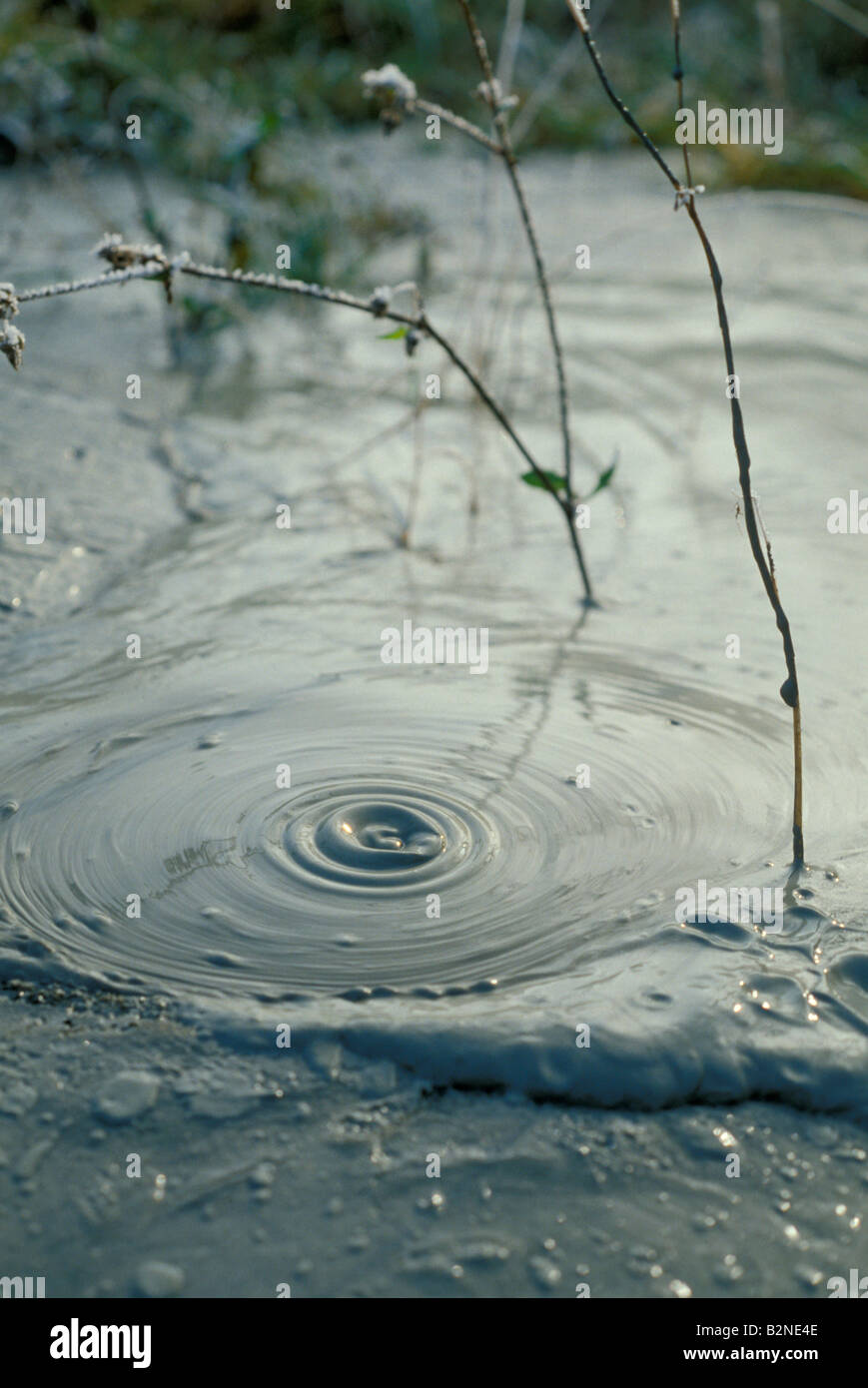 cold volcano at the protected site, nirano salse, italy Stock Photo - Alamy