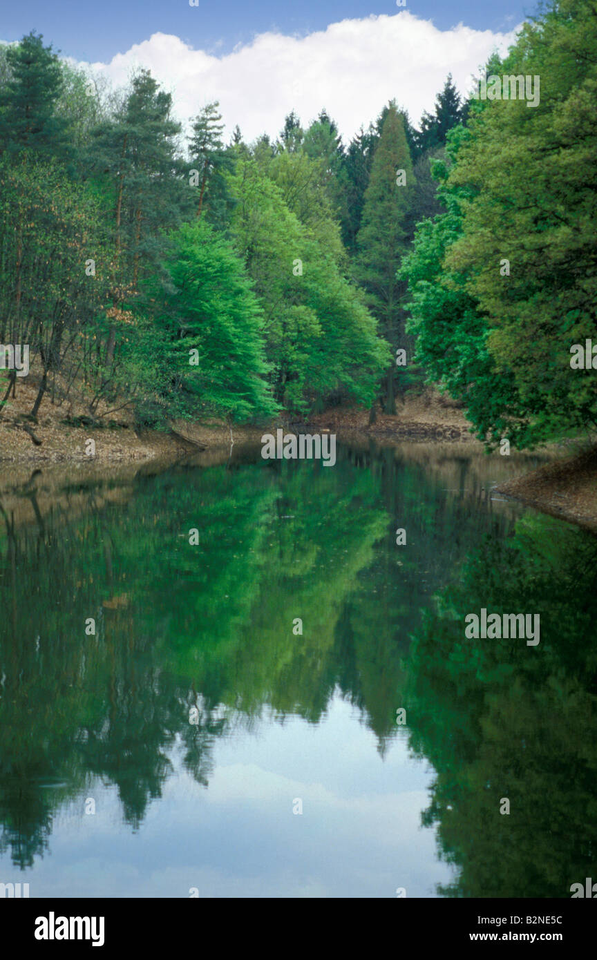 navetta lake, boschi di carrega, italy Stock Photo - Alamy
