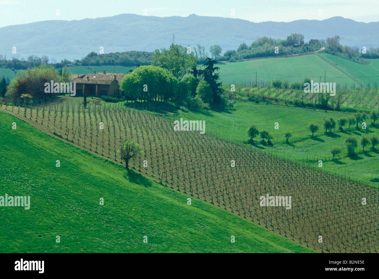 typical landscape, boschi di carrega, italy Stock Photo - Alamy