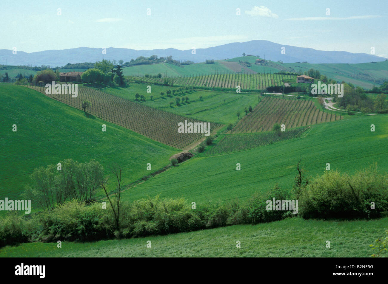typical landscape, boschi di carrega, italy Stock Photo - Alamy