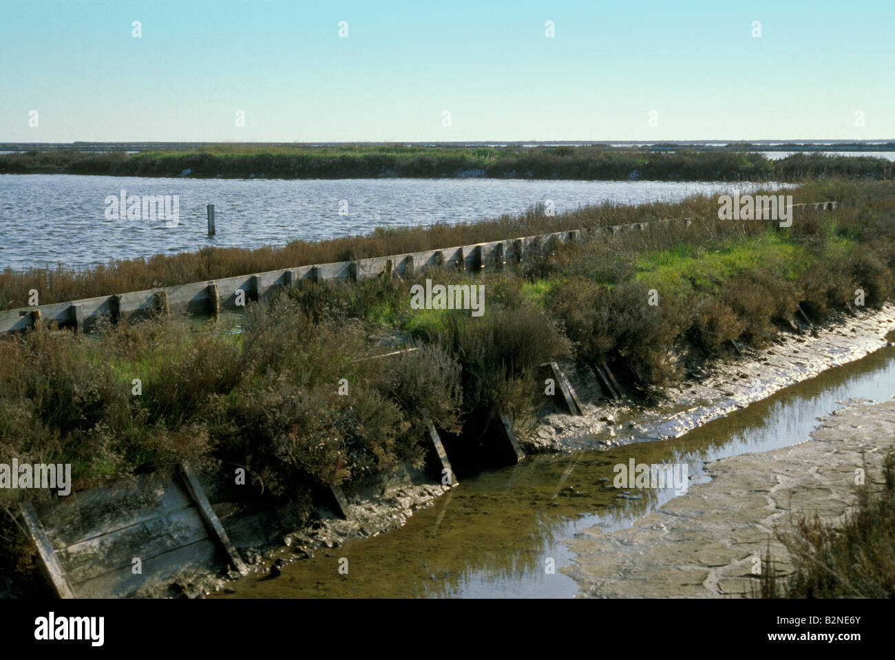 Po delta italy hi-res stock photography and images - Alamy