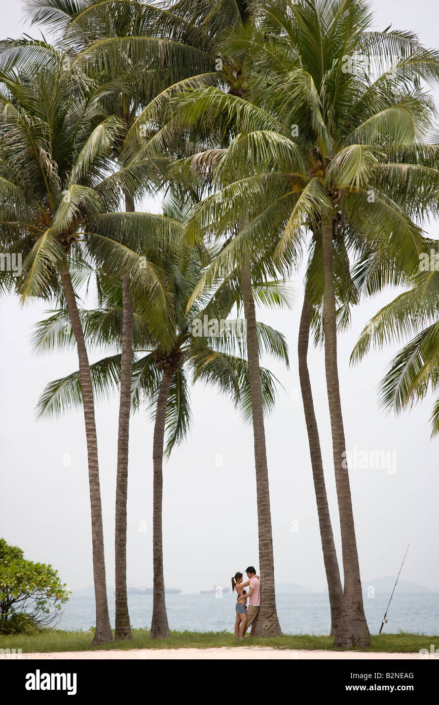 Side profile of a young couple embracing each other under a palm tree ...