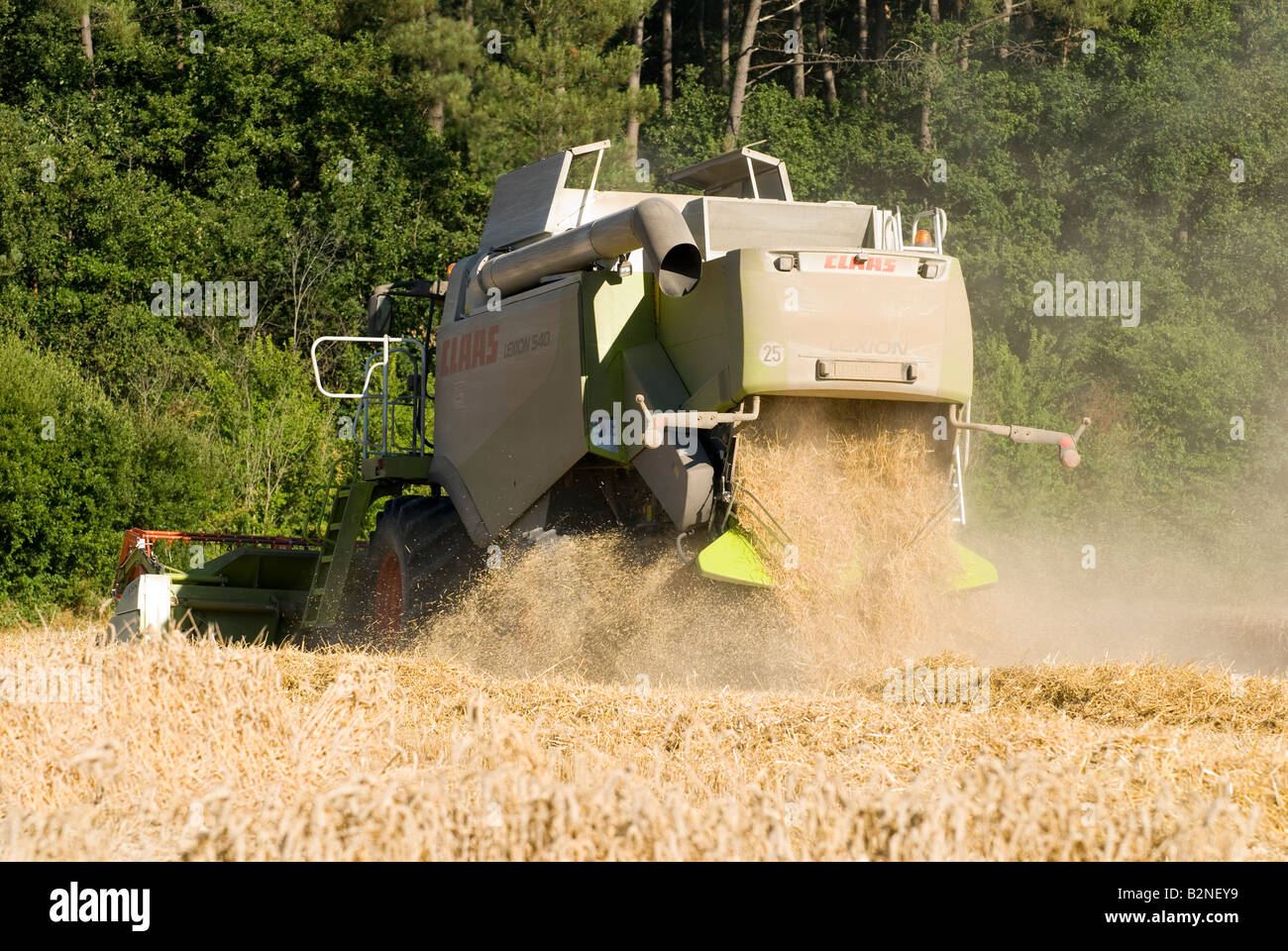 Rear view of "Claas Lexion 540" combine harvester discharging straw ...