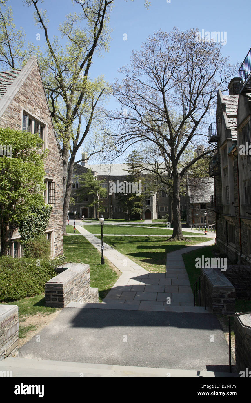 Steps down between two buildings to straight concrete pathways crossing ...