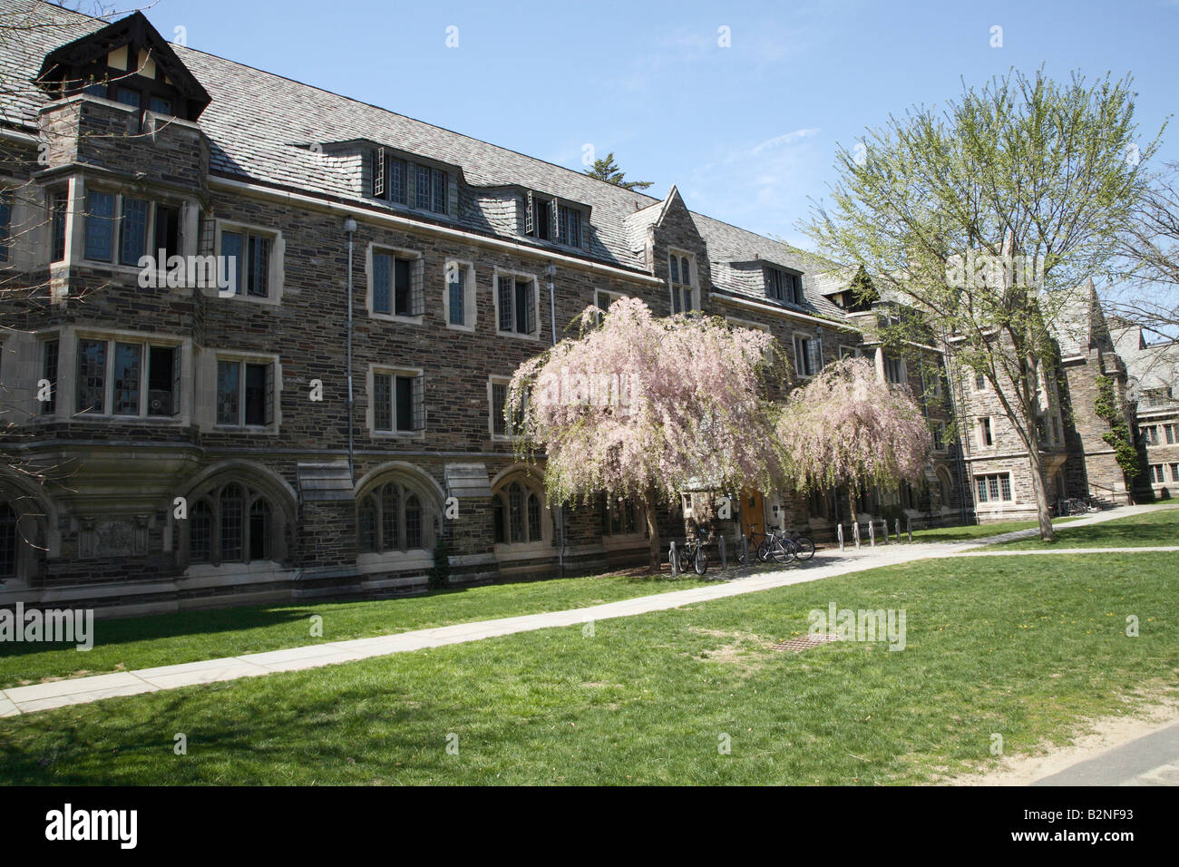 Section of 1901 Hall with flowering cherry trees and grassy courtyard ...