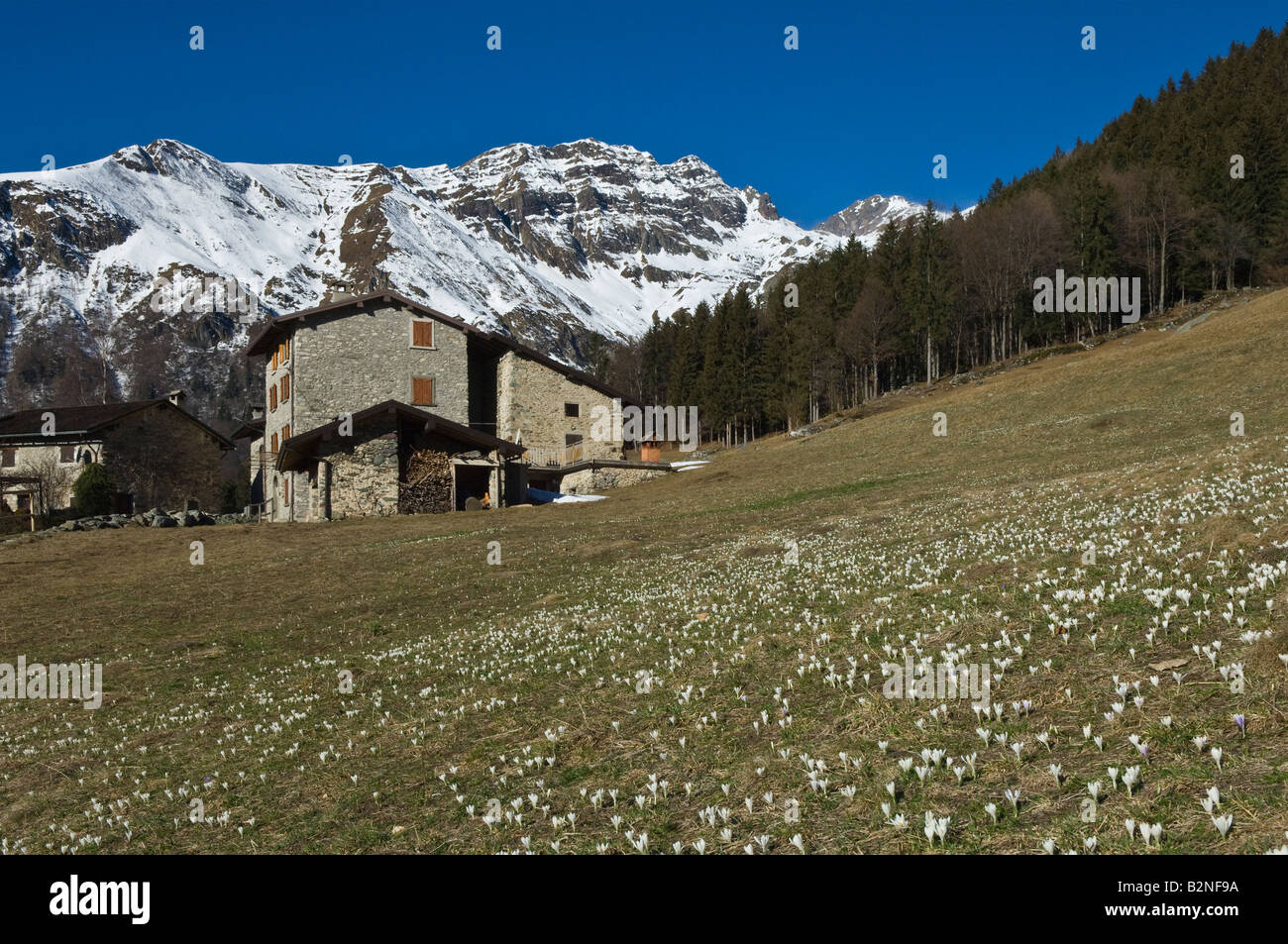 Selva italy hi-res stock photography and images - Alamy