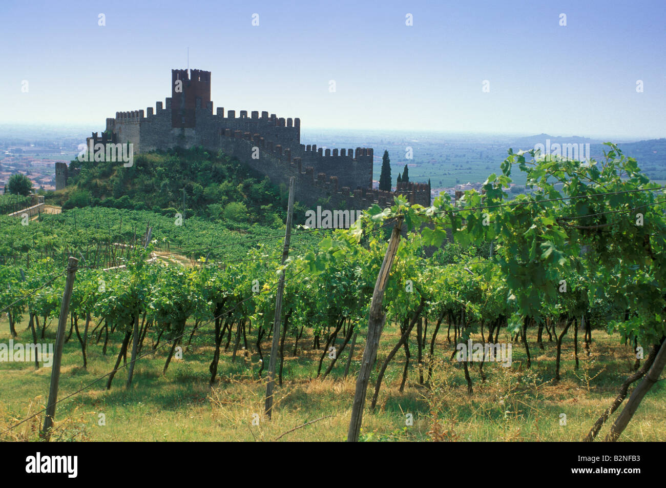 castle, soave, italy Stock Photo - Alamy
