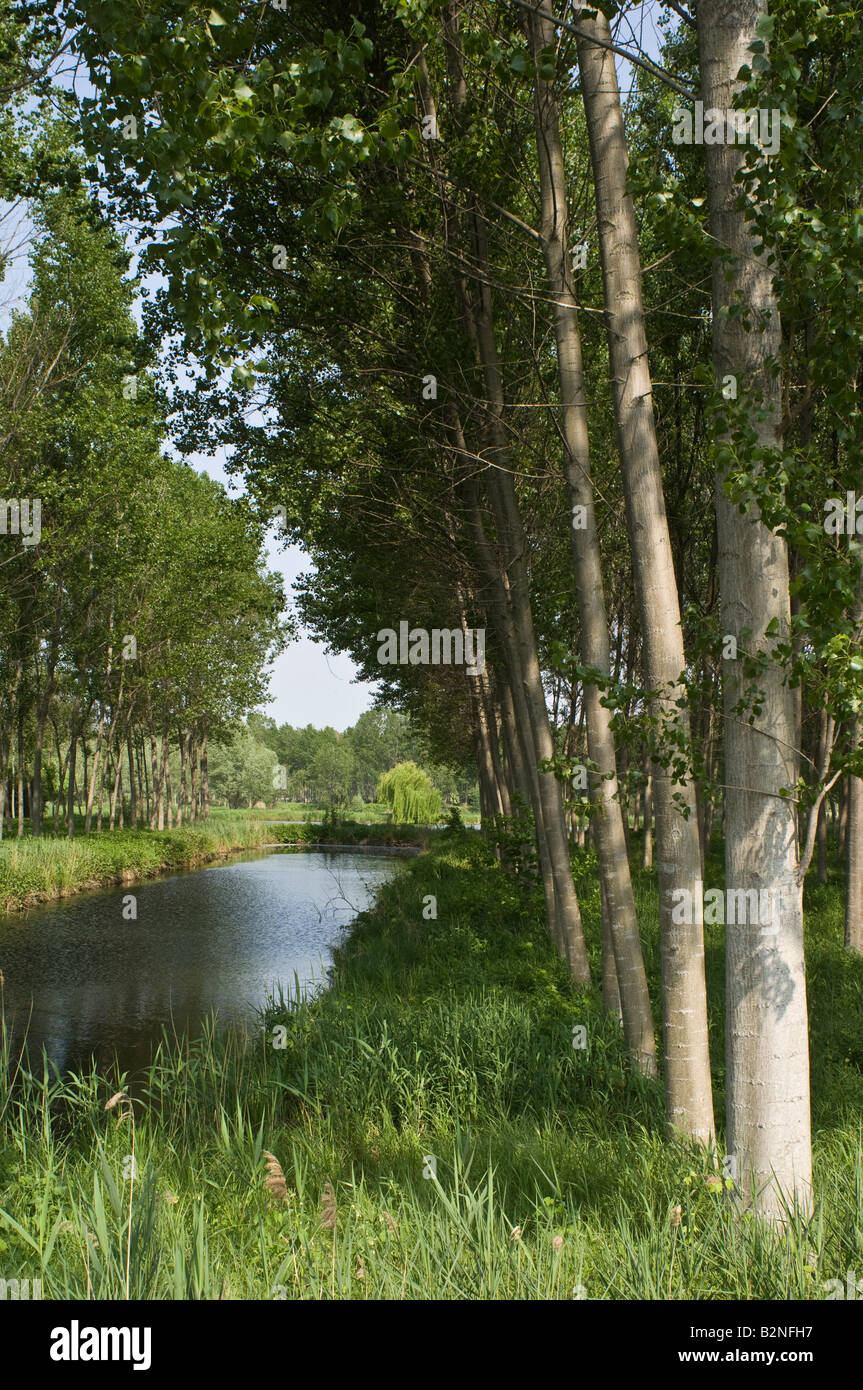 marsh, pellegrina, italy Stock Photo - Alamy