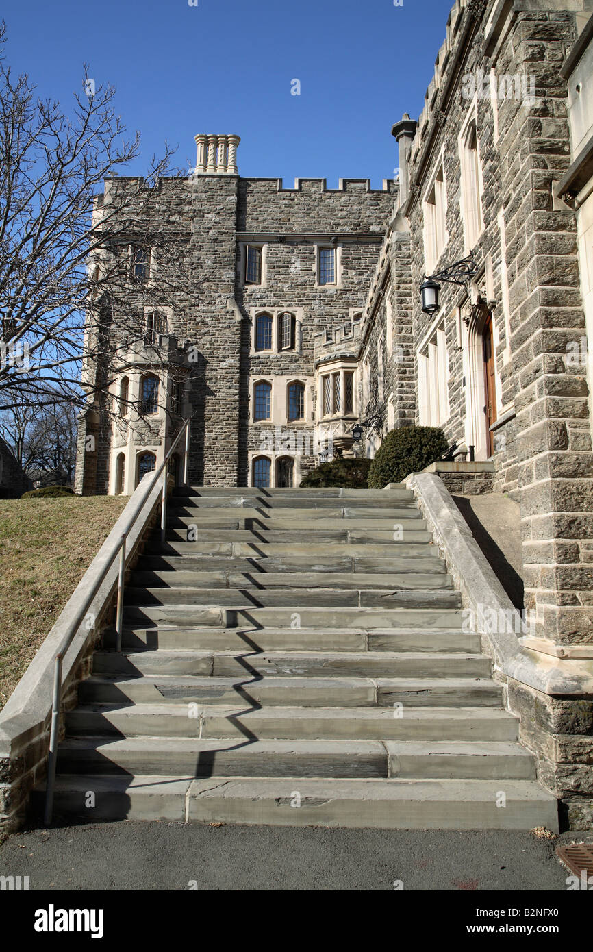 Set of gray flagstone steps leading up to higher portion of Wright Hall ...