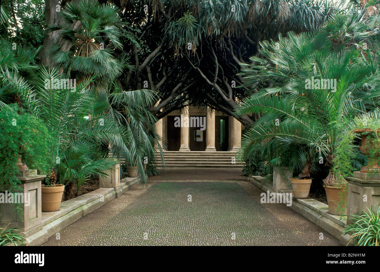 botanical garden, catania, Italy Stock Photo - Alamy