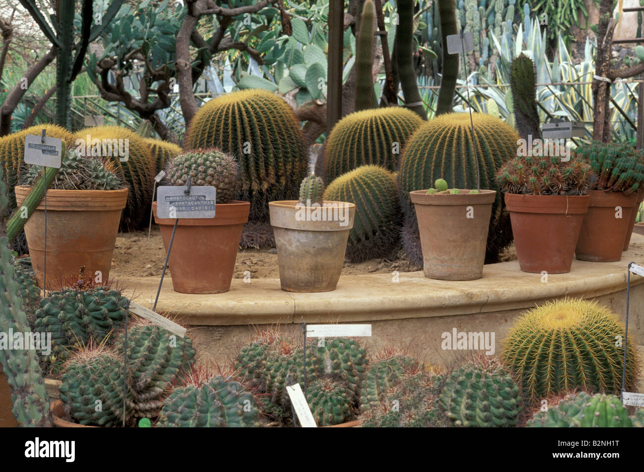botanical garden, catania, Italy Stock Photo - Alamy