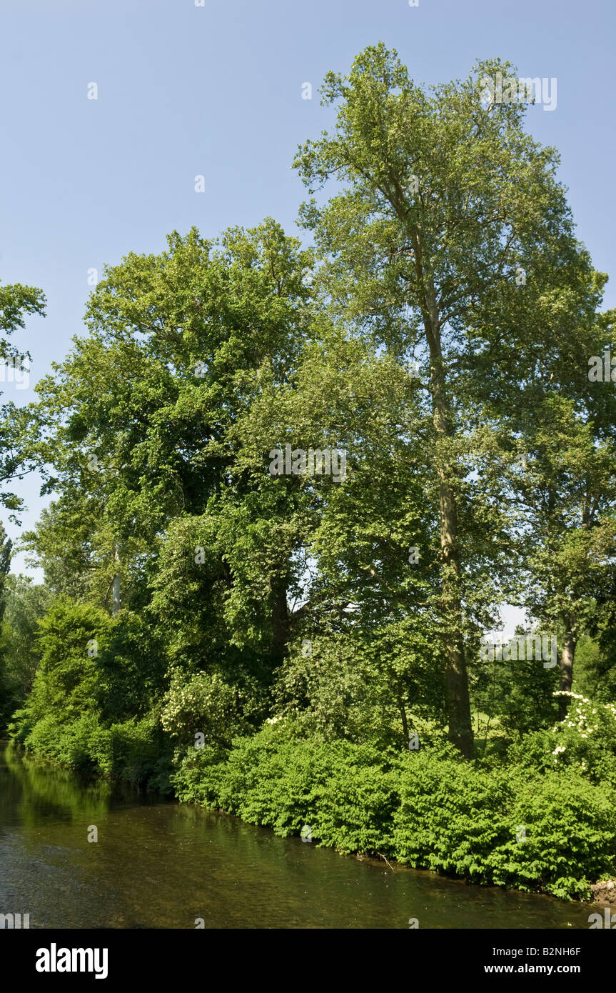 Lambro river hi-res stock photography and images - Alamy