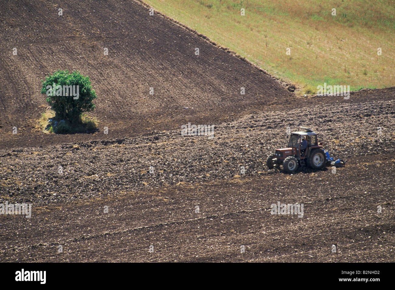 tractor at piano grande, castelluccio di norcia, Italy Stock Photo - Alamy