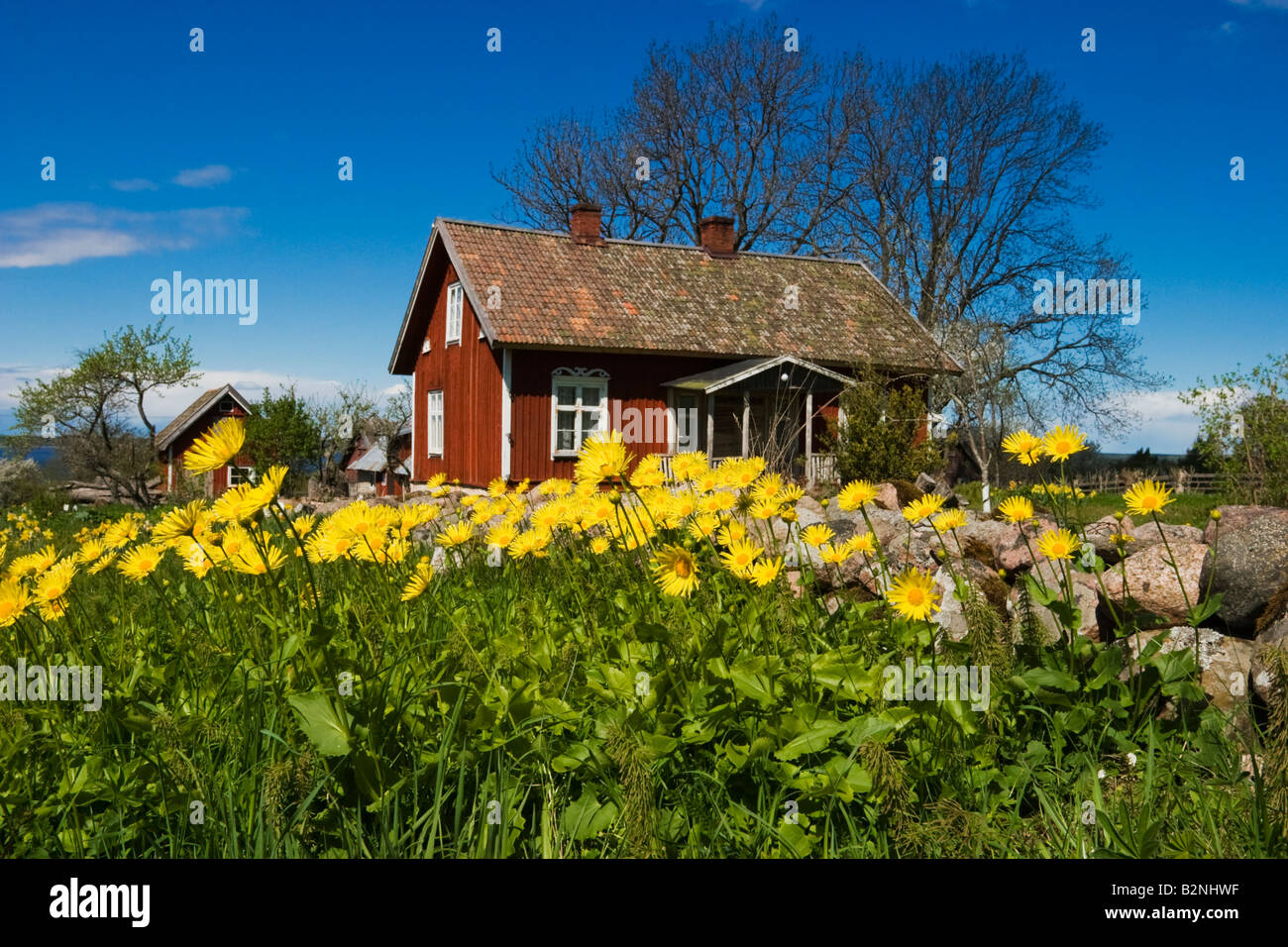 Red cottage and spring flowers in the garden Stock Photo - Alamy