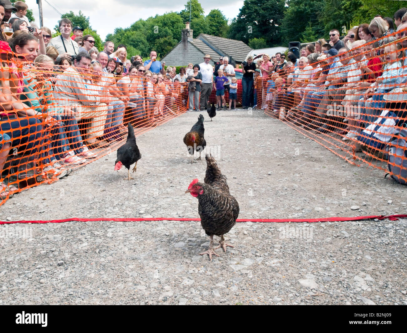 World championship hen racing hi-res stock photography and images - Alamy