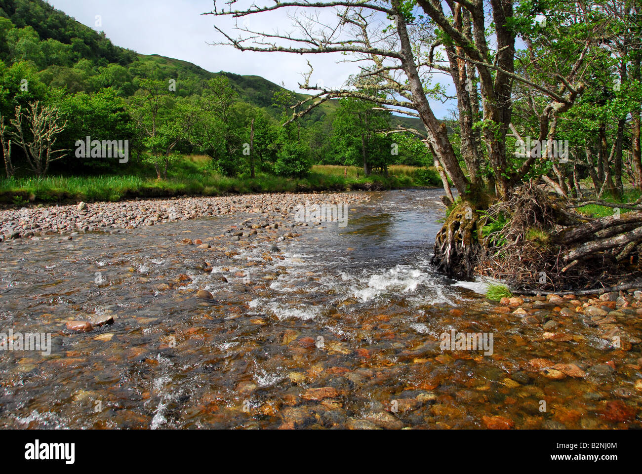 Scottish river hi-res stock photography and images - Alamy