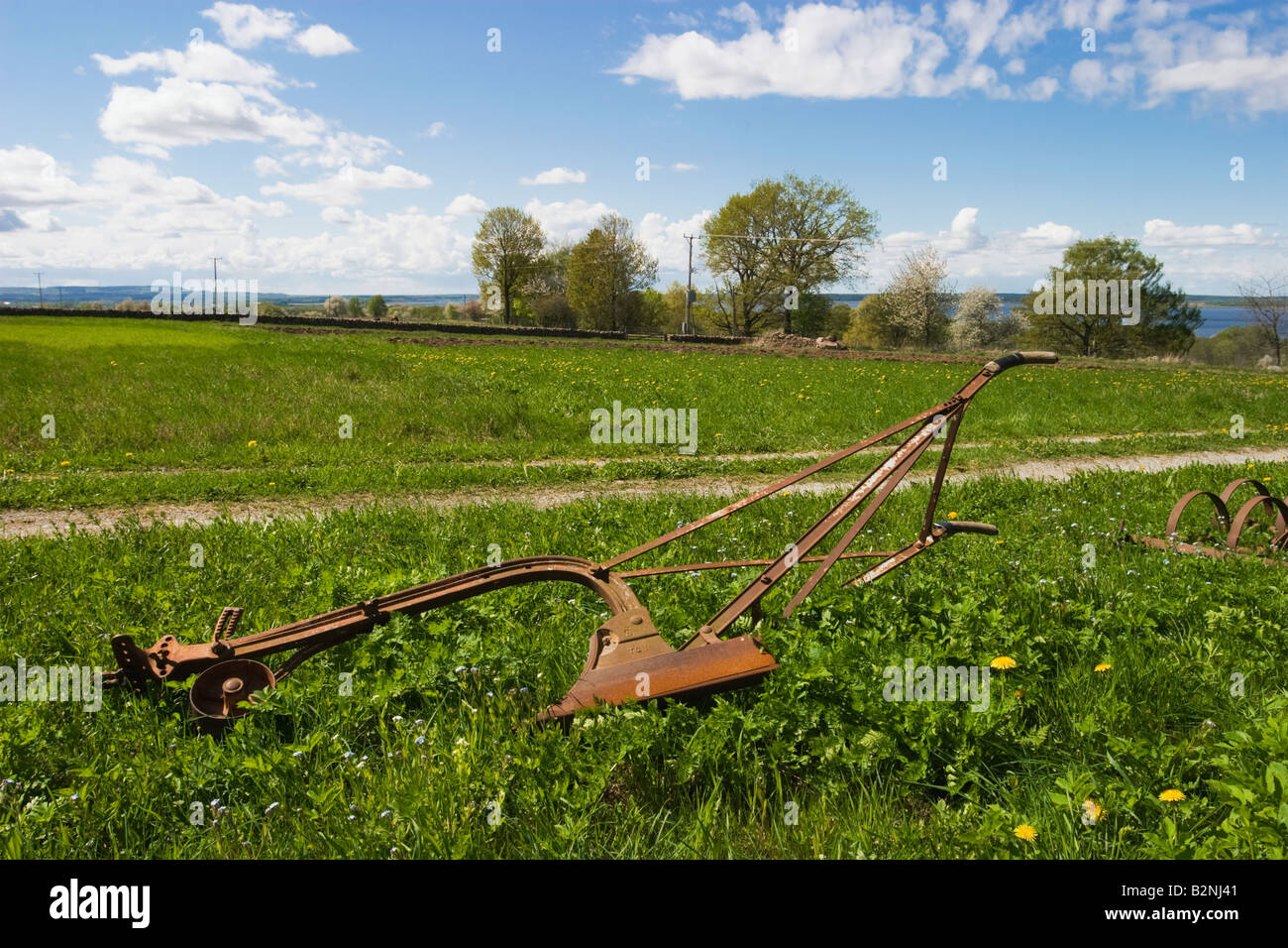 Old rusty plough in the grass Stock Photo - Alamy