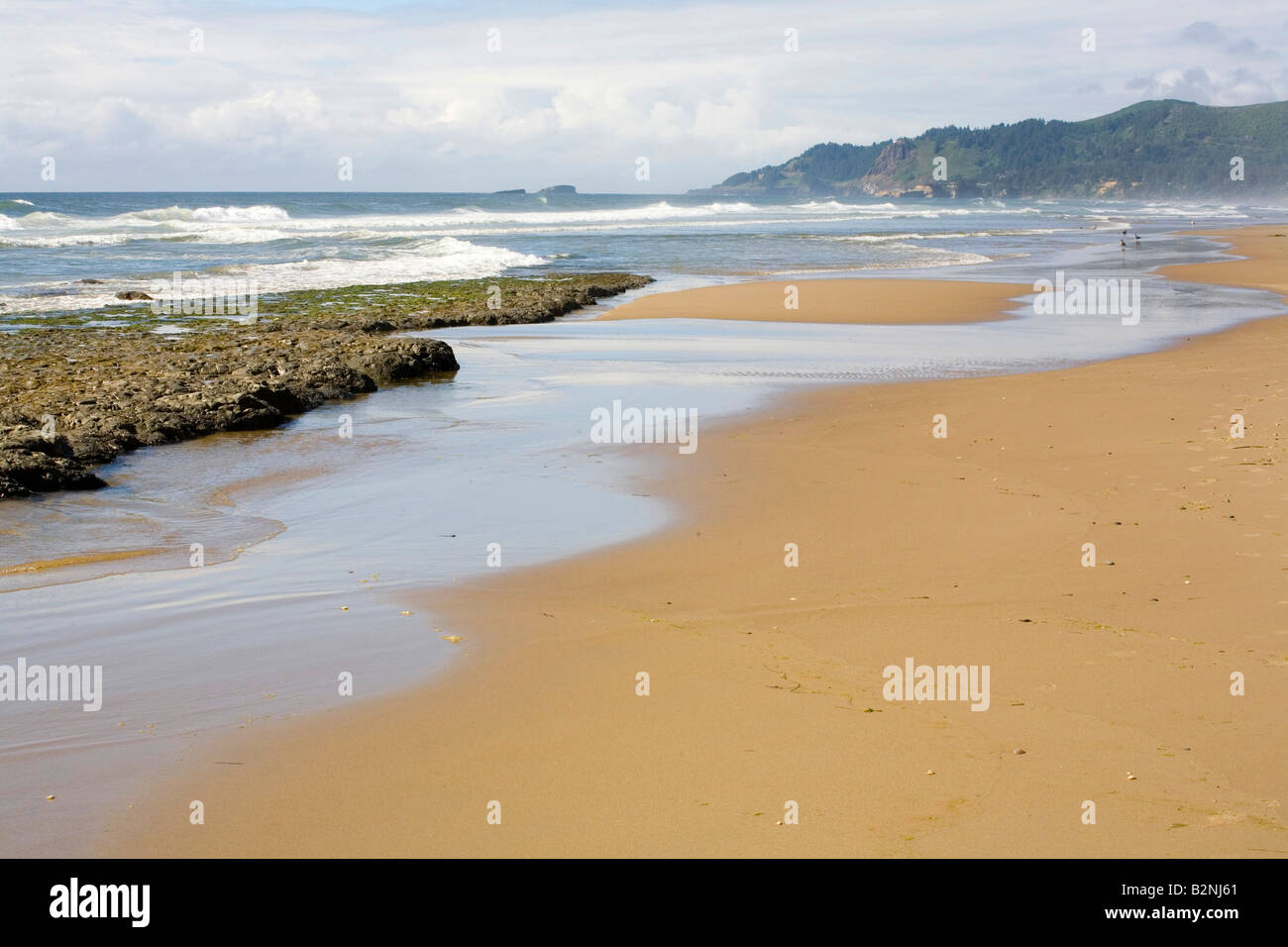 Beverly Beach State Park, Oregon Coast, United States of America (U.S.A ...