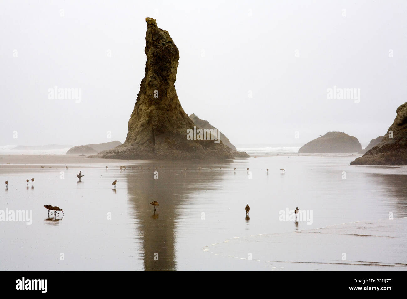 Face Rock beaches, Bandon, Oregon, United States of America (U.S.A ...