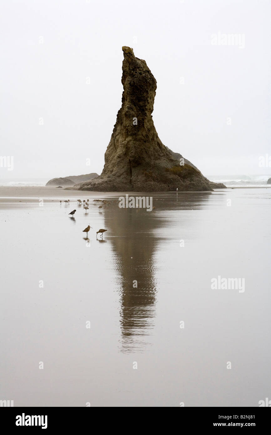 Face rock beaches hi-res stock photography and images - Alamy