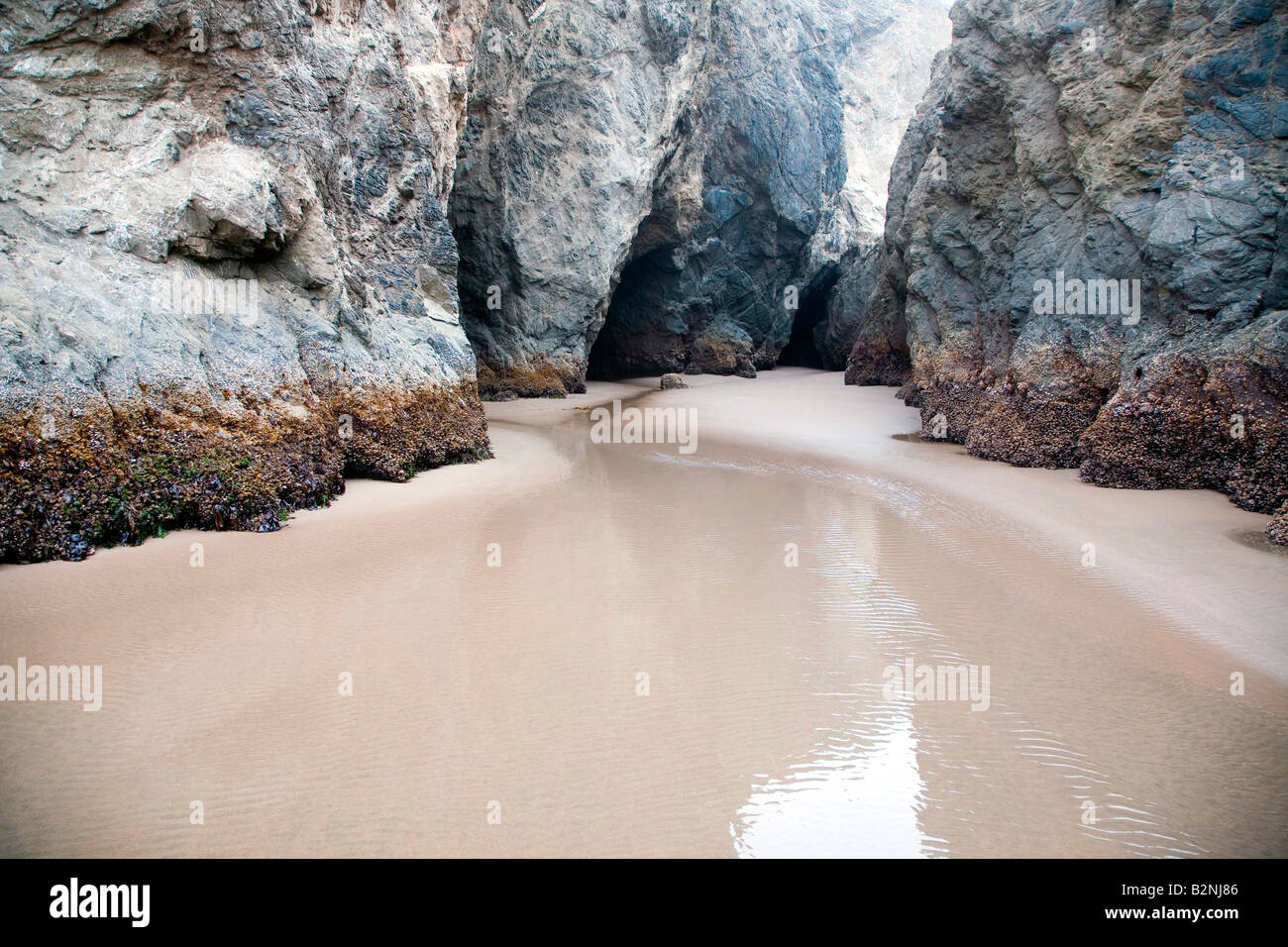 Face Rock beaches, Bandon, Oregon, United States of America (U.S.A ...