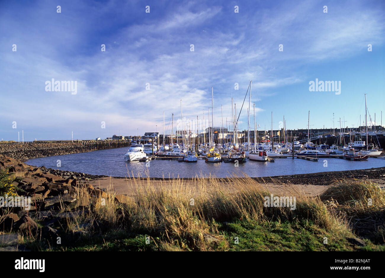 Amble Marina in Northumberland Stock Photo - Alamy