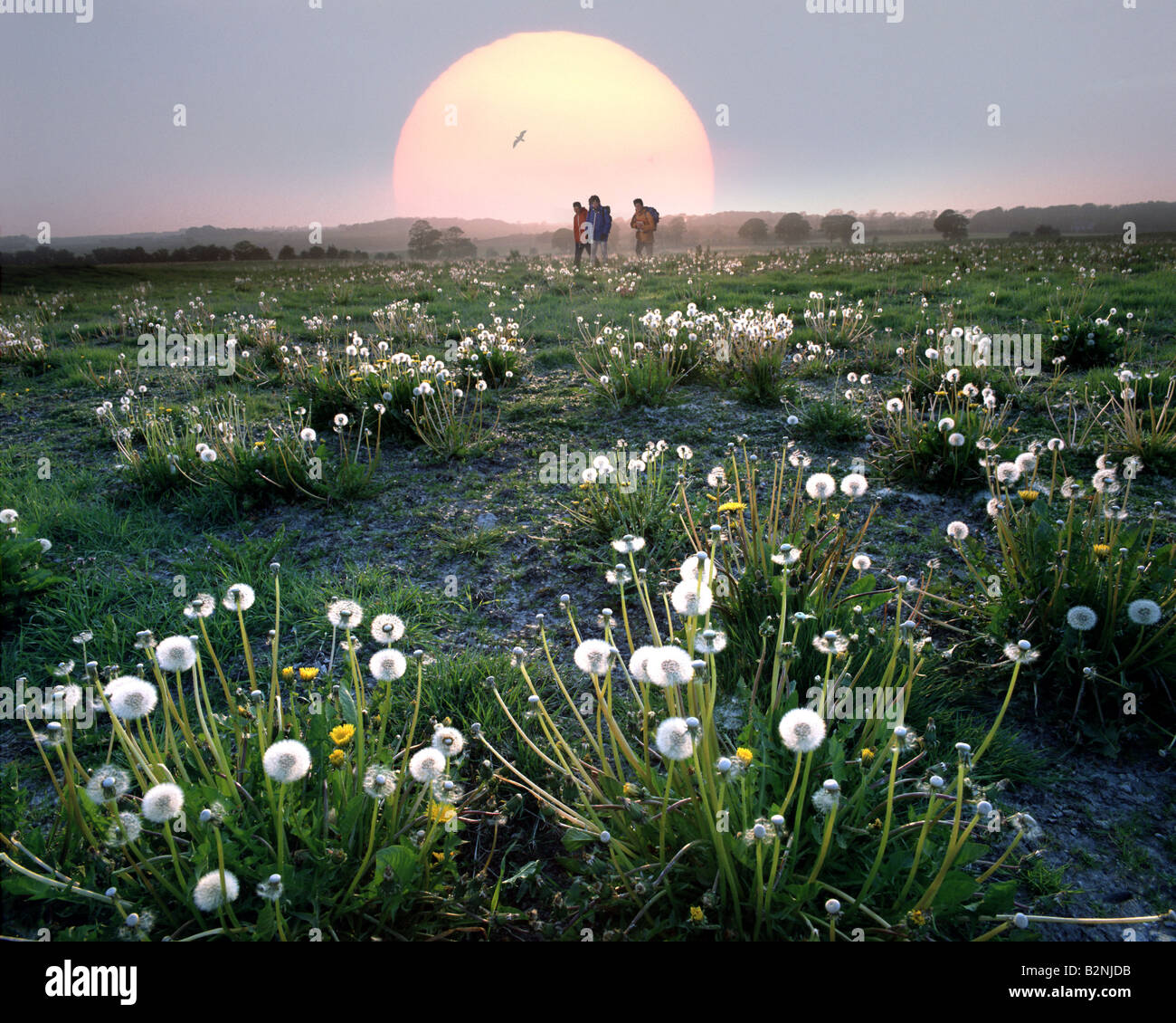 Mendip Stock Photos & Mendip Stock Images - Alamy