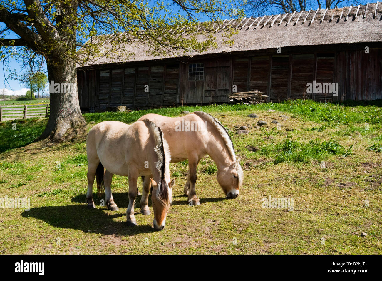 Fjording hi-res stock photography and images - Alamy
